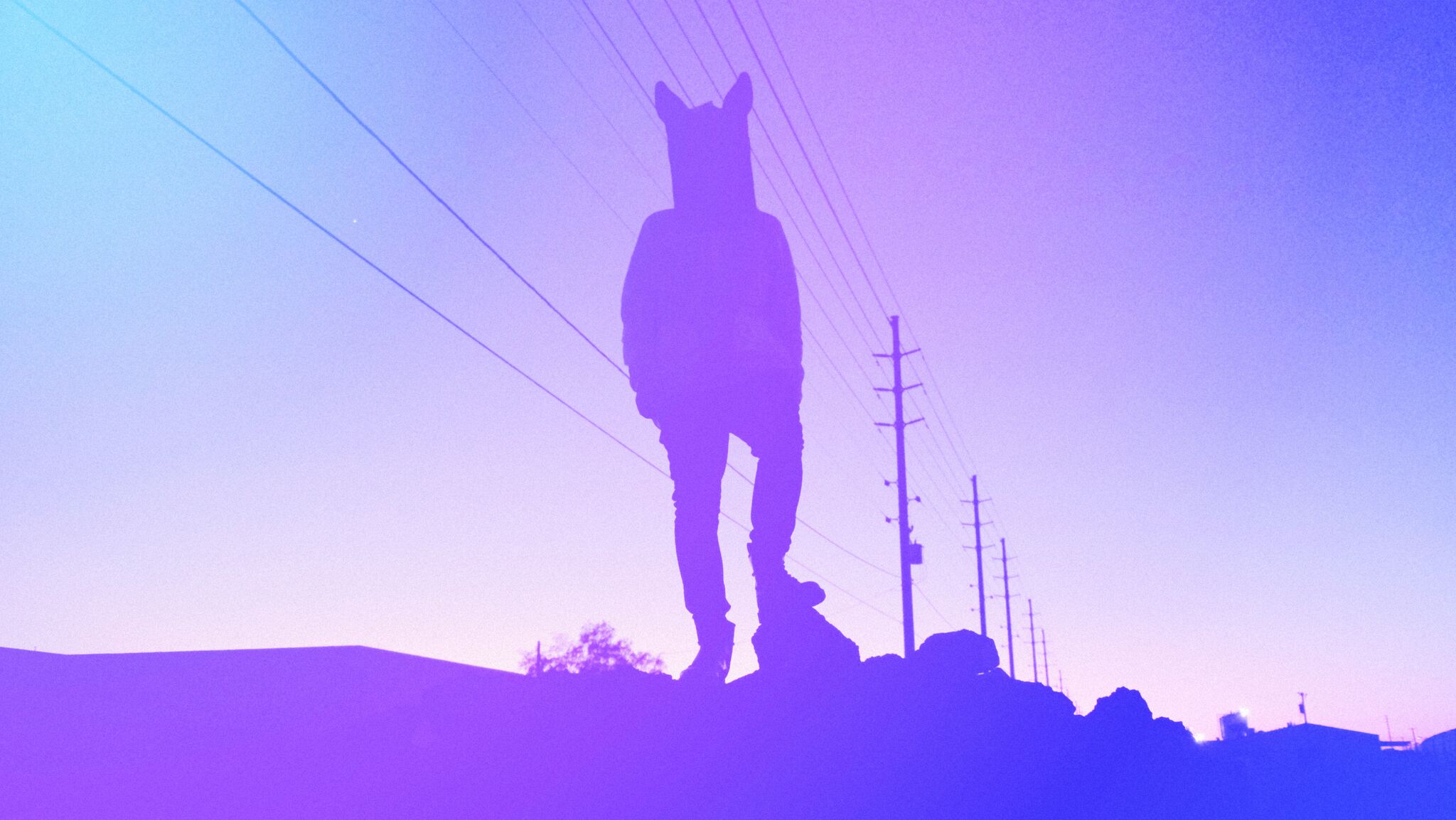 Slow Magic launches 4-part album with leading single, 'Home ...
